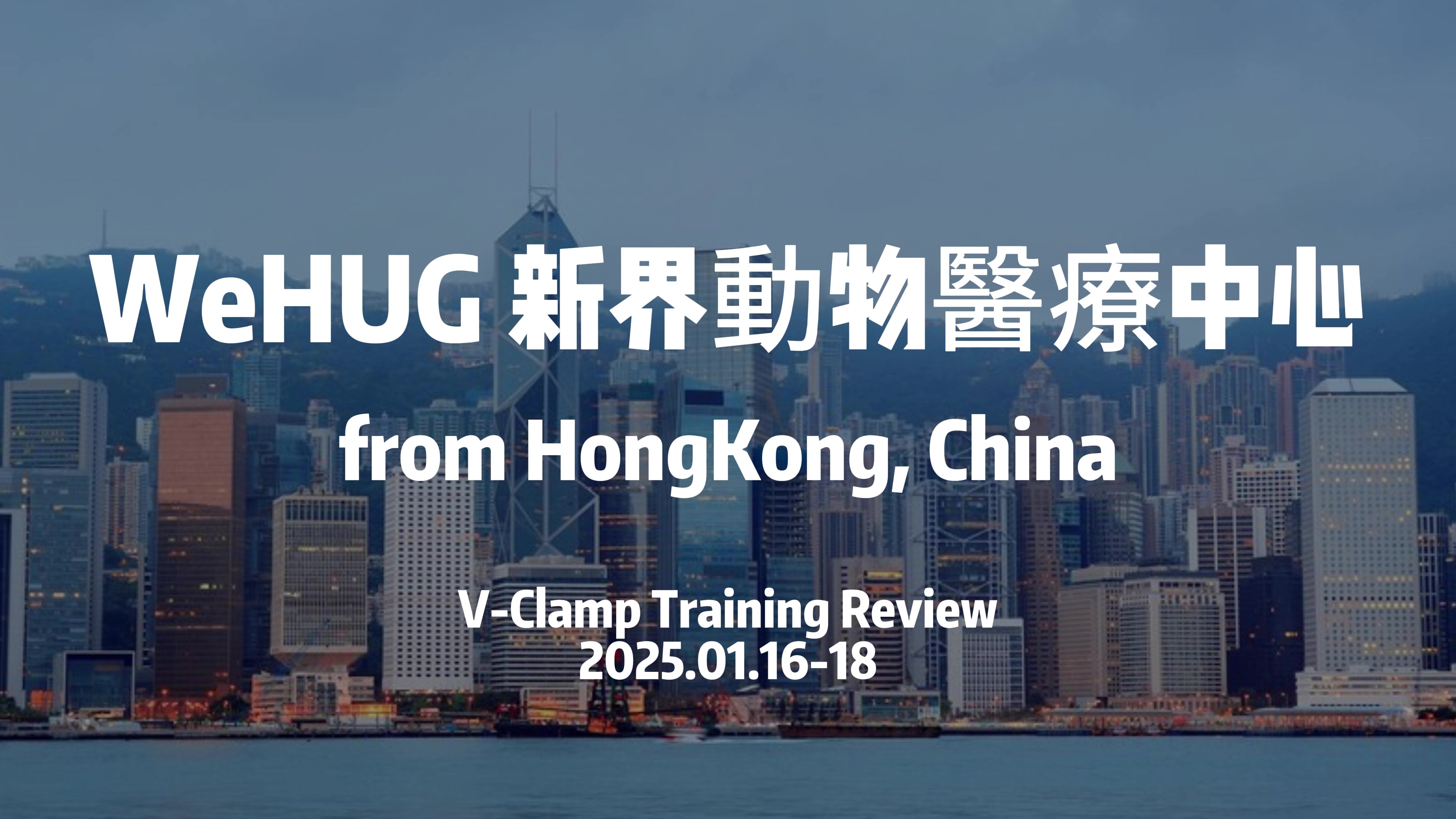 WeHug Team from Hong Kong: Completion of V - Clamp Training