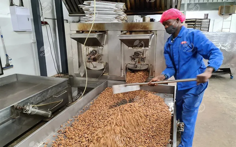 Nut Roasting&Seasoning Production Solution,Nut Roasting Production ...