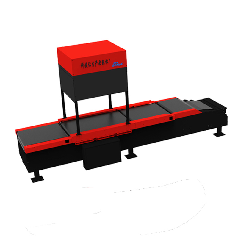 DWS SYSTEM PARCEL DIMENSIONING WEIGHING SCANNING TELESCOPIC BELT CONVEYOR