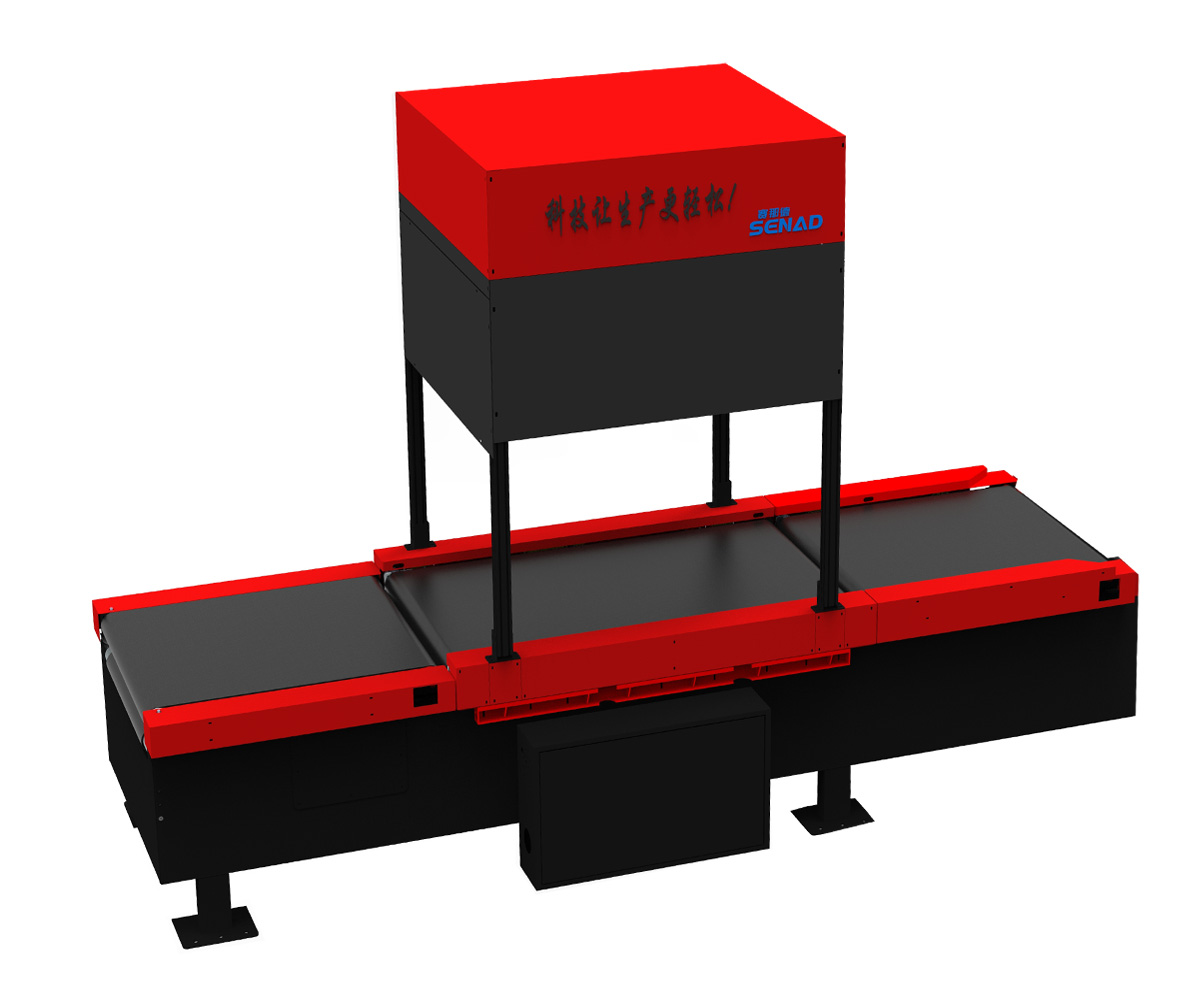Dws Automatic Weighing Scanning Measurement Operation Control Process-SENAD
