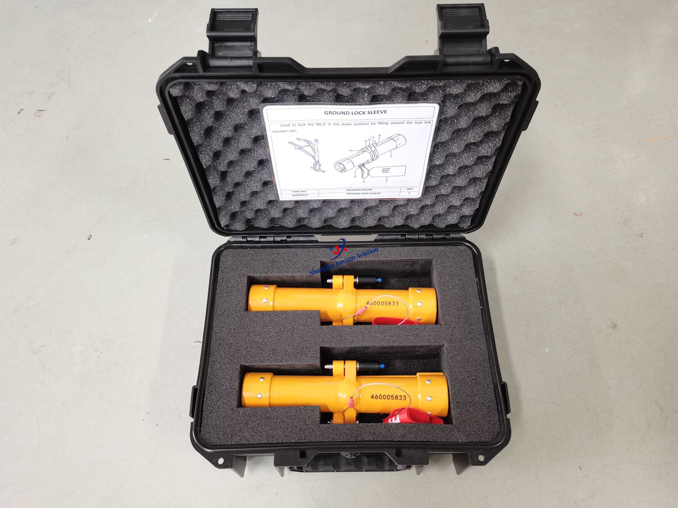 460005833-Shanghai Junxun Aviation