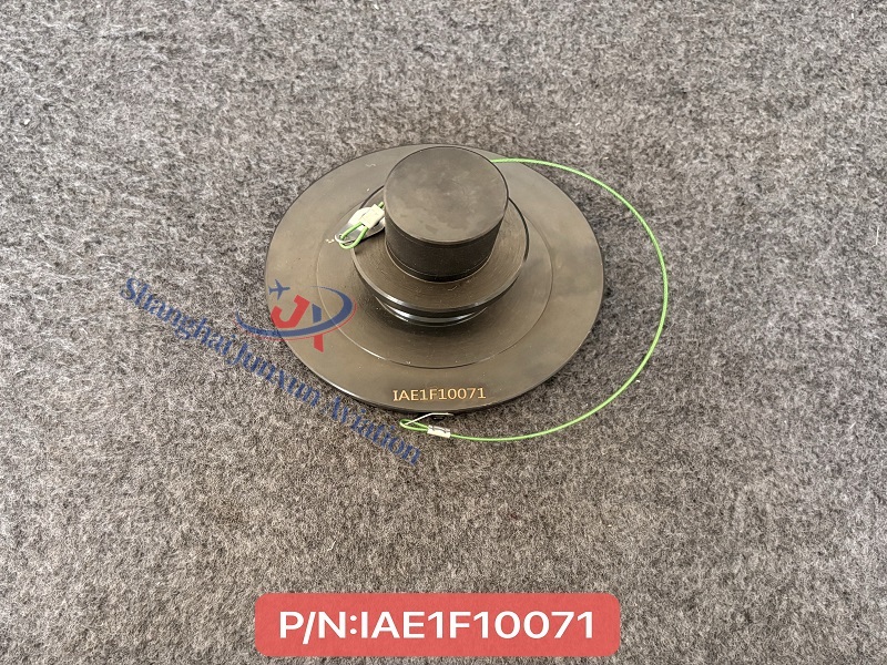 IAE1F10071-Shanghai Junxun Aviation