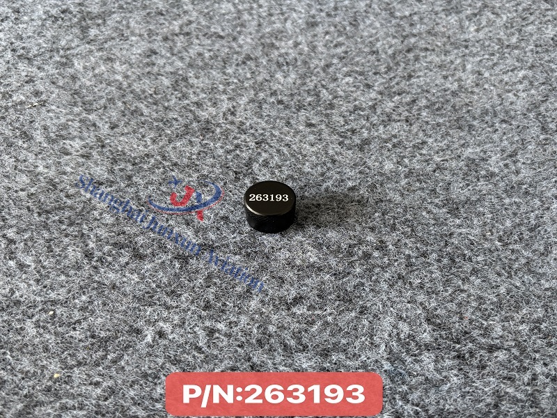 263193-Shanghai Junxun Aviation