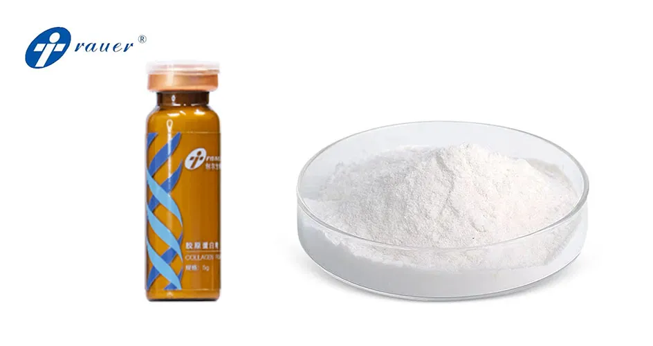 Collagen Powder,Collagen Solution,Collagen Sponge-Trauer/Trauemy
