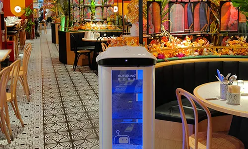 AUTOXING-Intelligent Robots with Autonomous Driving Technology