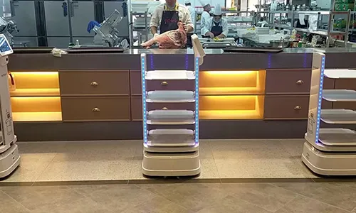 AUTOXING-Intelligent Robots with Autonomous Driving Technology