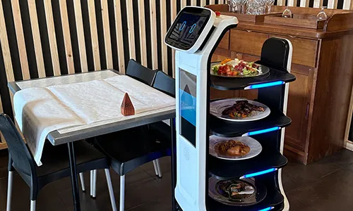 AUTOXING-Intelligent Robots with Autonomous Driving Technology