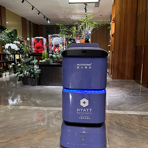 Hotel Robot-AUTOXING