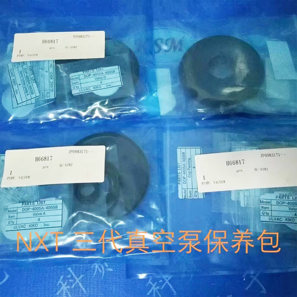 Vacuum Pump Maintance Kit for NXT III-Fadelesstech