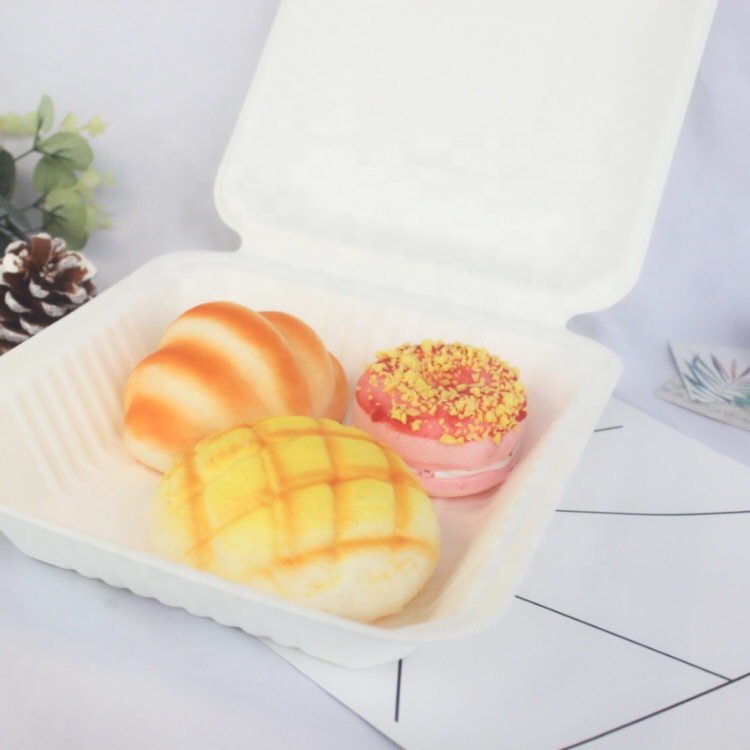 8" Square Box High-Quality and Versatile Dinnerware Paper plate for ...