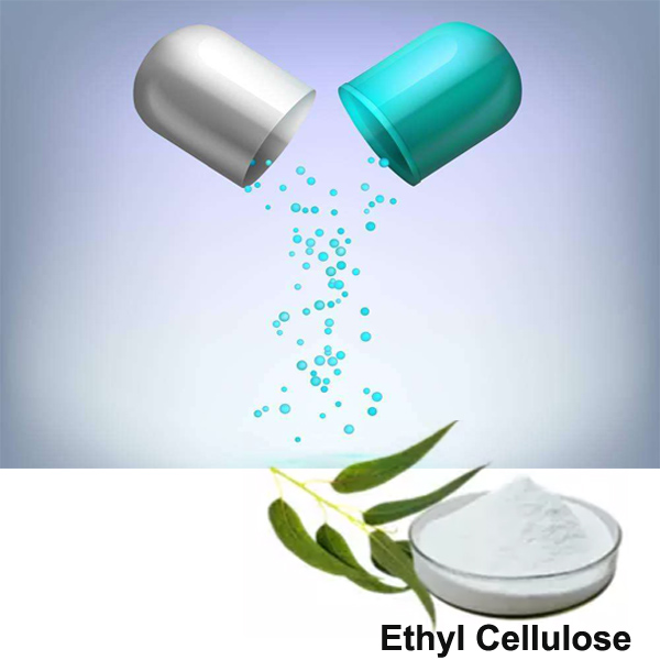 Pharmaceutical Grade Ethyl Cellulose – USP/NF Compliant Excipient for ...