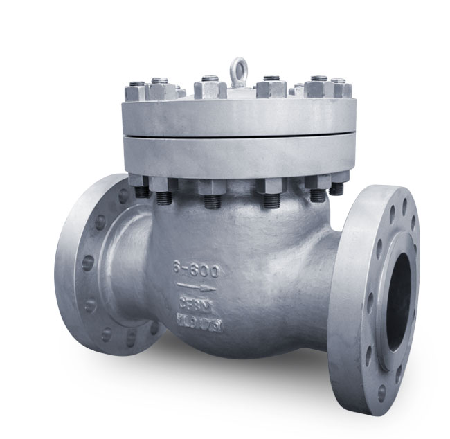 Cryogenic Check Valve Solutions for Extreme Cold Environments