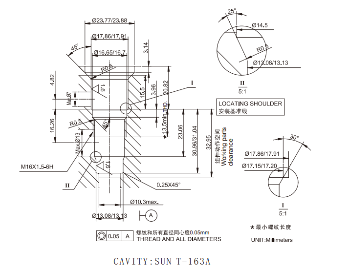 CAVITY:T-163A-Hankesi