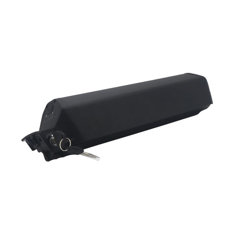 Reention Dorado Ebike Battery 36V 48V 52V 13Ah 14.5Ah 17.5Ah 20Ah 25Ah ...
