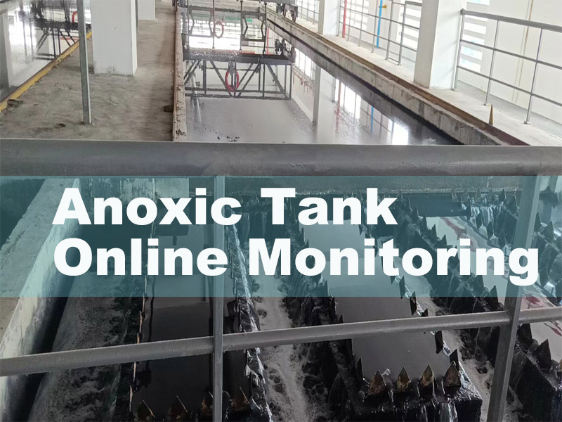 Anoxic Tanks Online monitoring