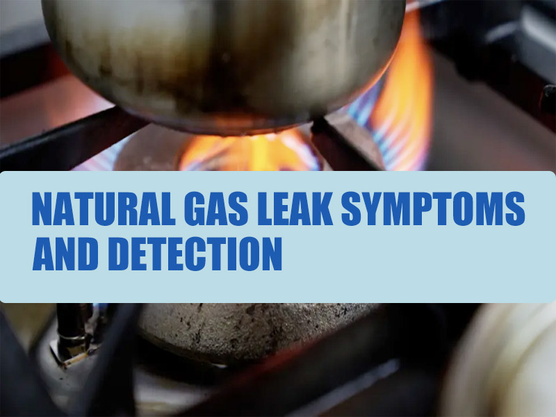 Natural Gas Leak Symptoms and Detection: How to Stay Safe at Home (2025 ...