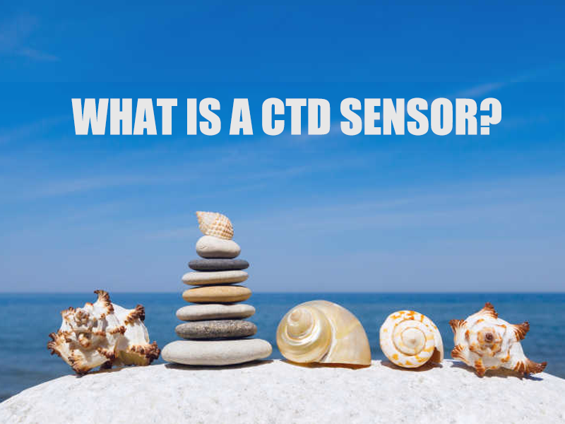 What Is a CTD Sensor?——Conductivity Temperature Depth 3 in 1 sensor