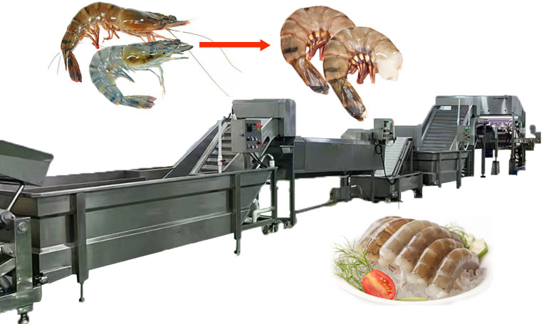 Automated Shrimp Processing Line with Precision Deheading Technology