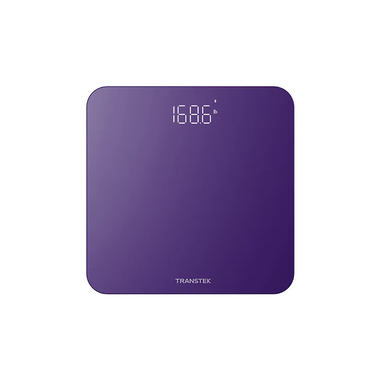 Transtek Body Scale SWY51-Transtek Electronics