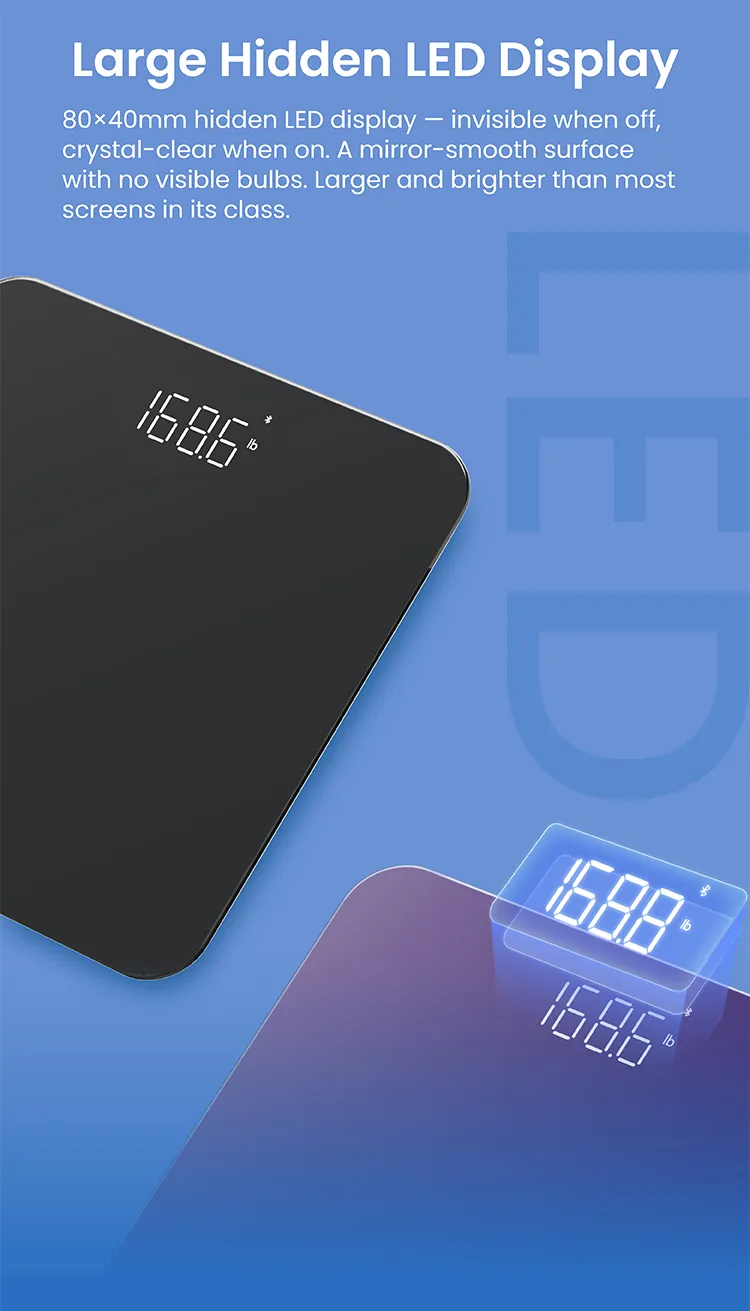 Transtek Body Scale SWY51-Transtek Electronics