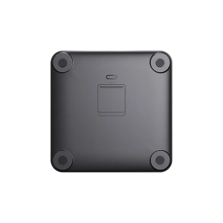 Transtek Body Scale SWY51-Transtek Electronics