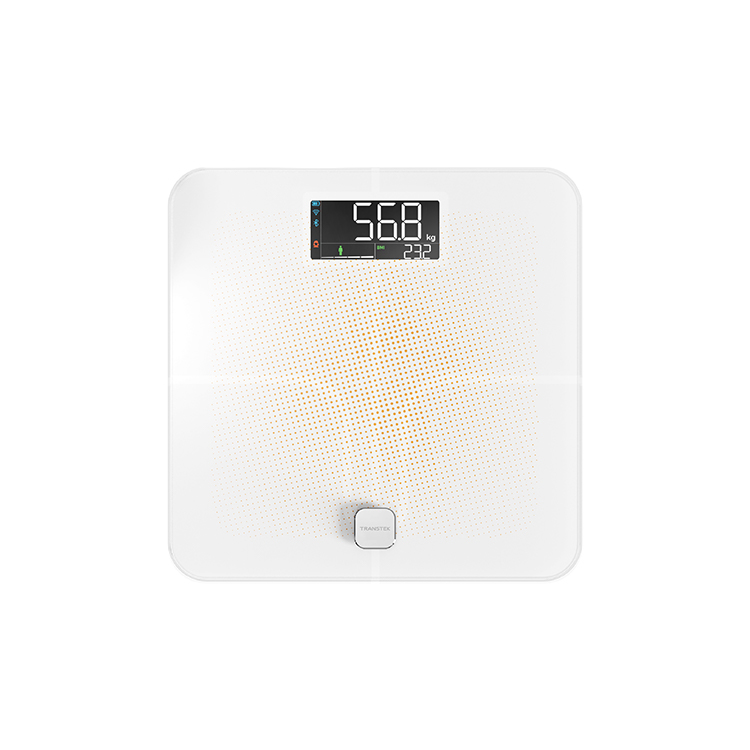 Transtek Body Fat Scale GBF-2226-B-Transtek Electronics