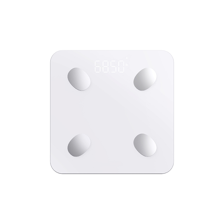 Transtek Body Fat Scale SFY41-Transtek Electronics