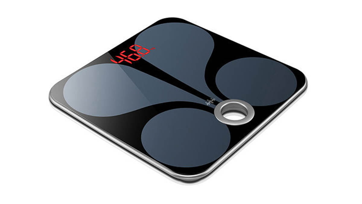 What Can Smart Body Weight Scale Measure?-Transtek Electronics
