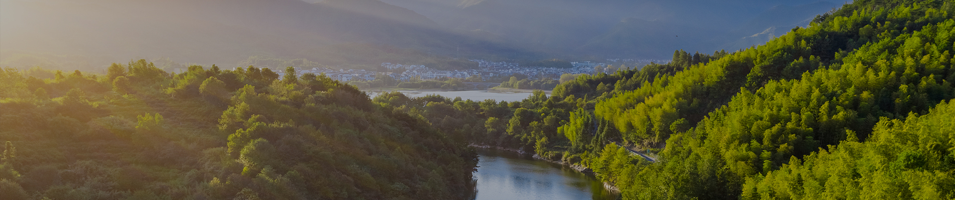 POLYWIN CHEMICAL: Your Premier Source for Green Solutions