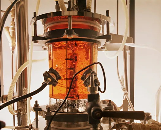 Conventional Prepolymer-POLYWIN