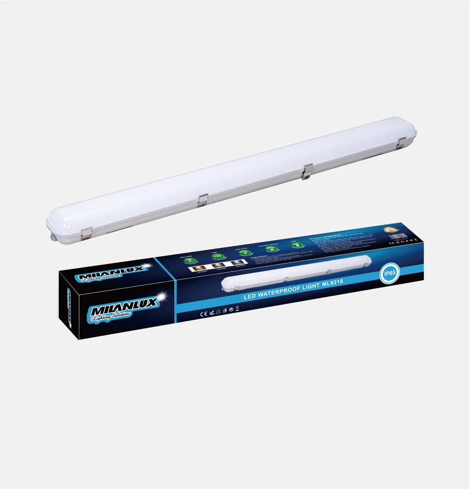 IP65 LED WATERPROOF LIGHT ML9-2 SERIES-MILANLUX