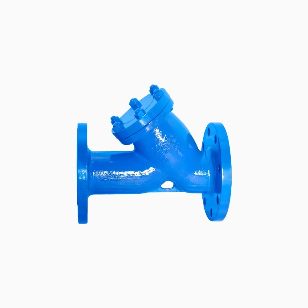 Cast Steel WCB DN80 PN16 RF Flange Y-type Strainer-Tianyu