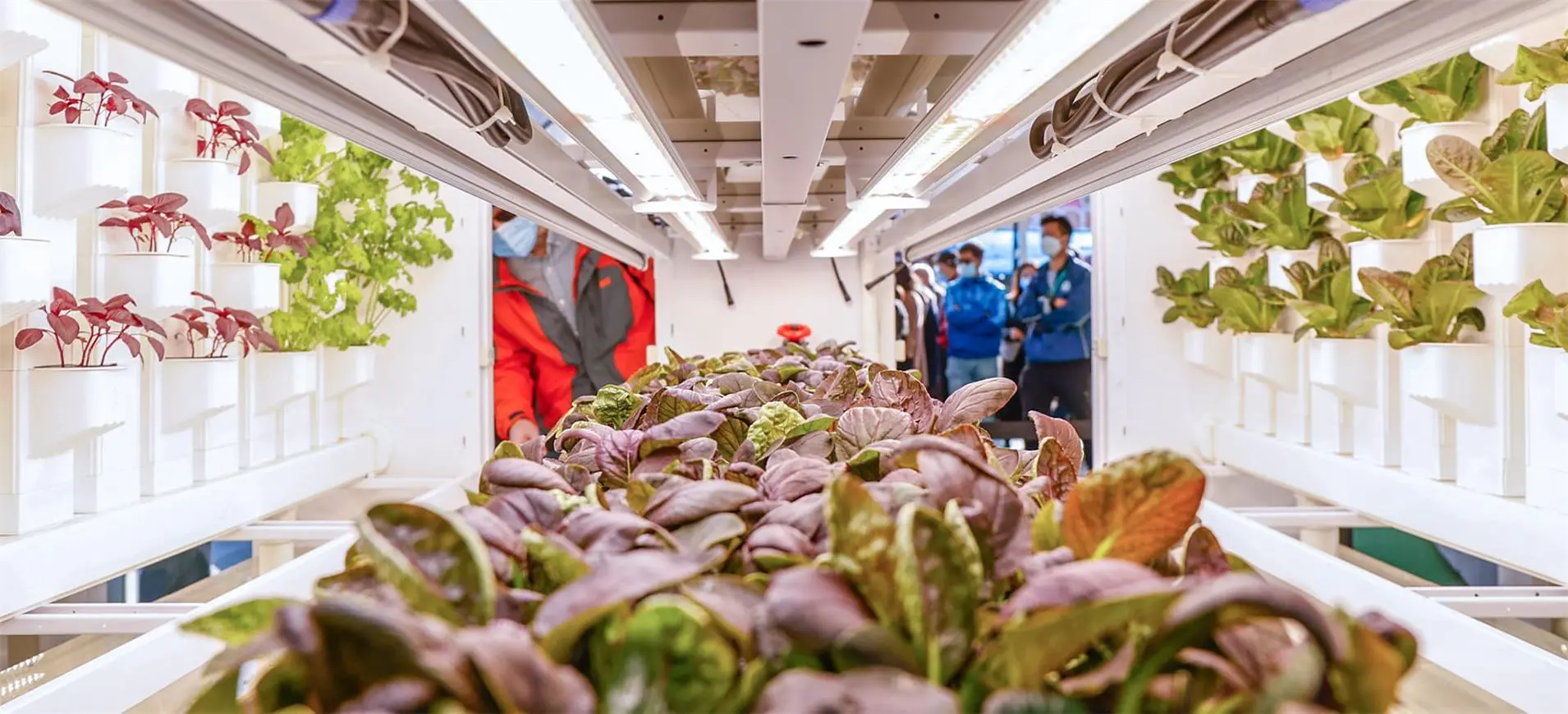 Mobile Vertical Growing Rack,Dry/Cure Racks,V-Track Rolling Benches ...