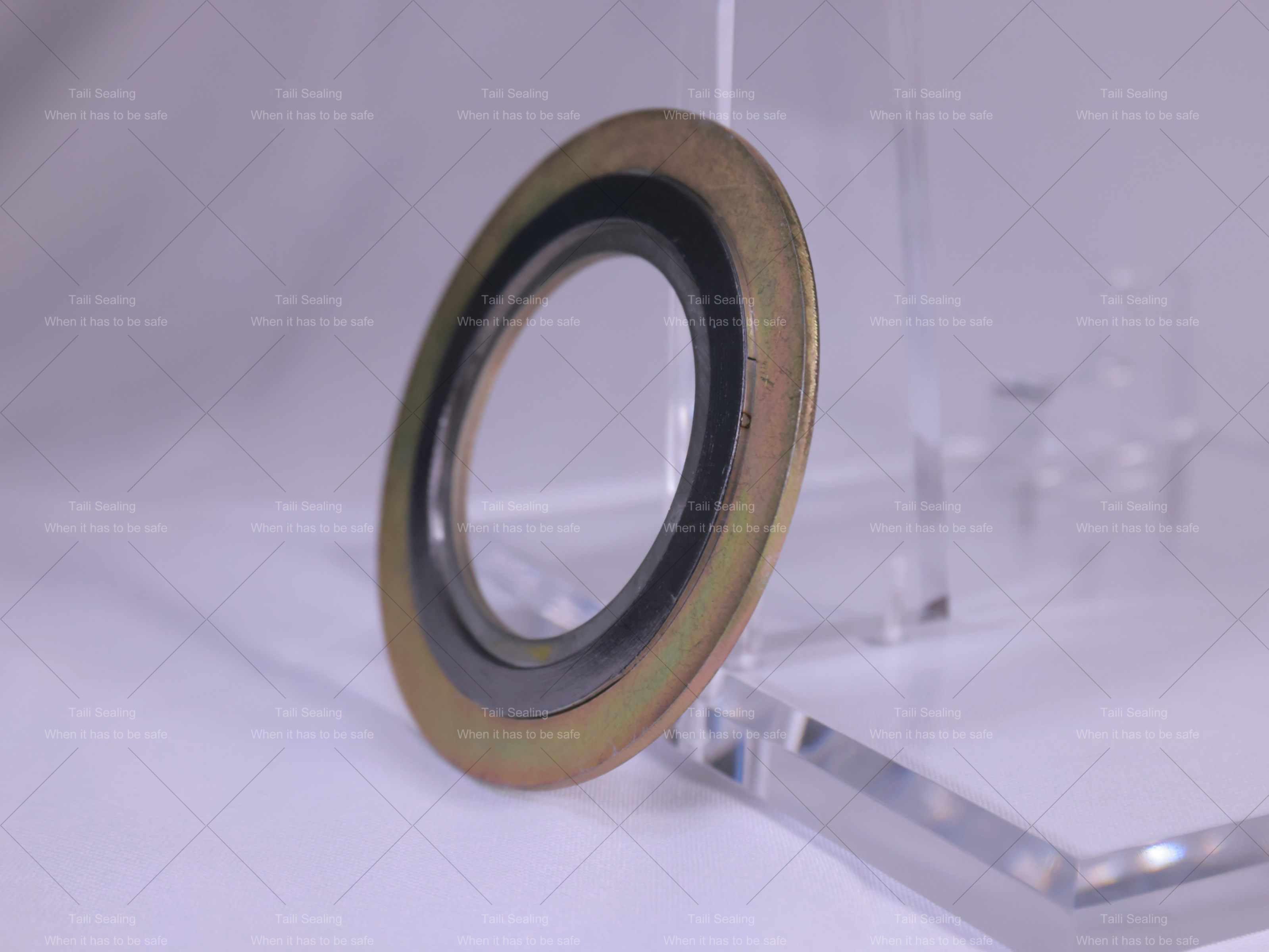 EN1514 2 standard CG/CGI style Spiral Wound Gasket
