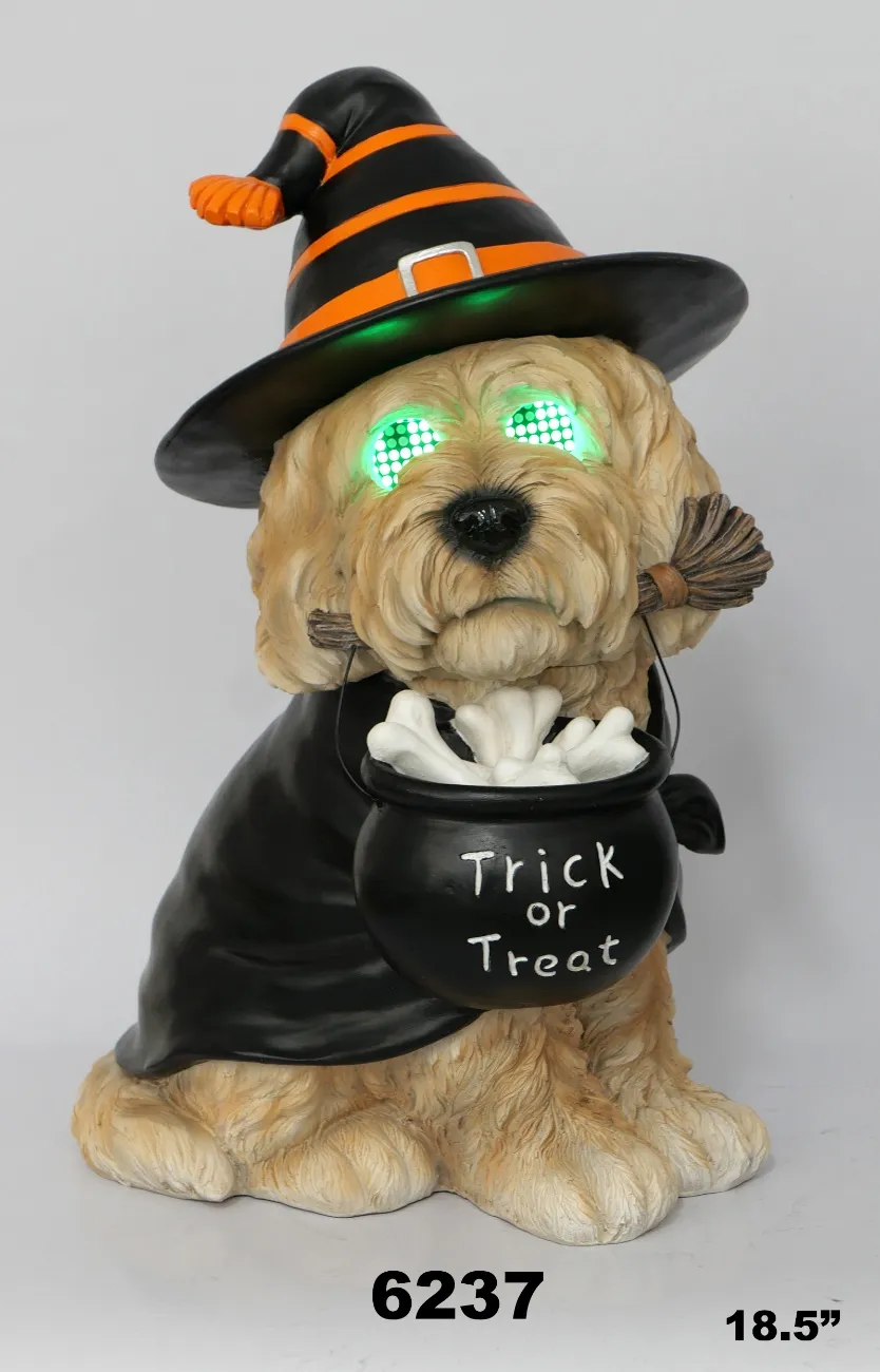 Lighted Halloween Witch Dog: A Pup with Glowing Green Eyes for Halloween