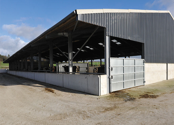 Prefabricated Pig Farm House Building Piggery House Design Cow Farm ...