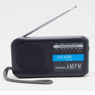 DC3V Carton Handheld AM FM Radio DC AA Battery Powered AM FM Radio ...