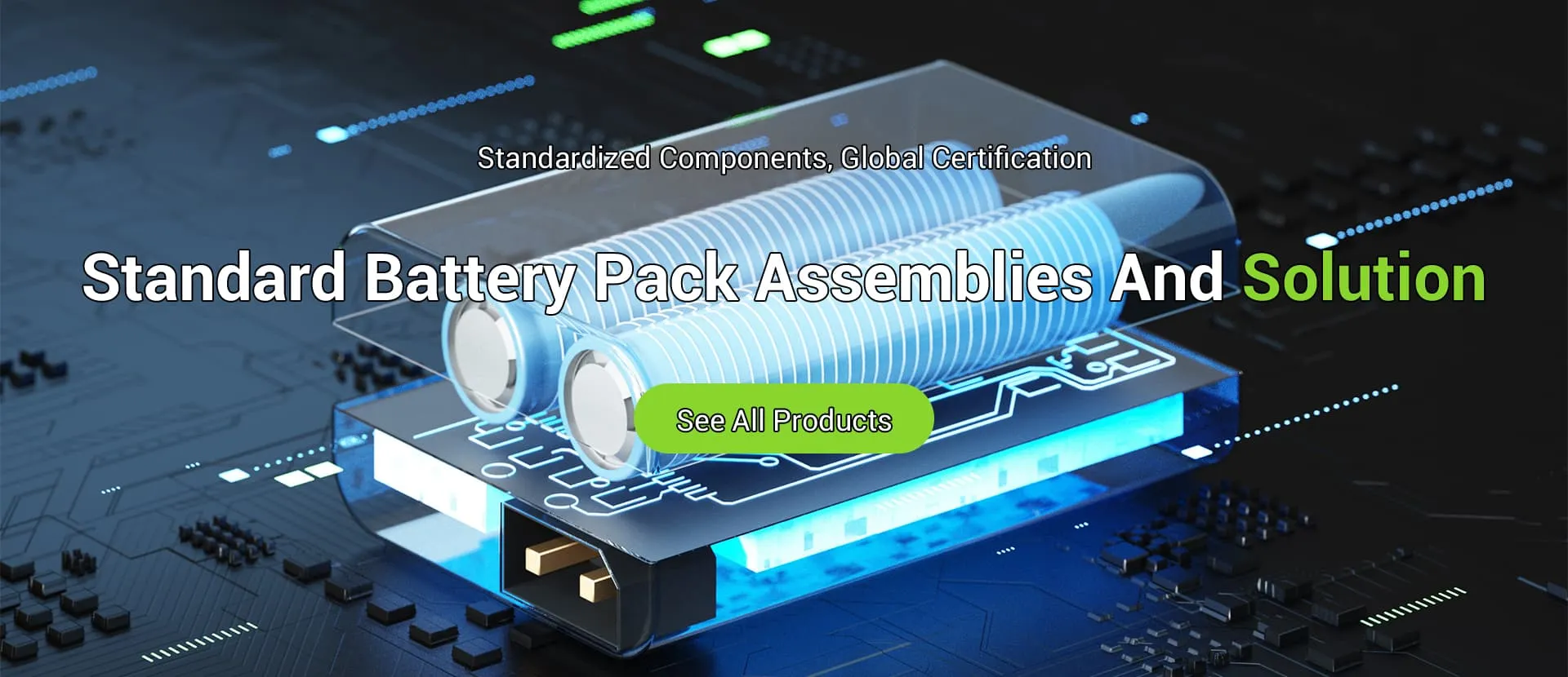 Standard Battery Pack-BAKTH Technology
