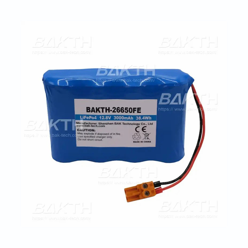 4S1P / BAKTH-26650FE-BAKTH Technology