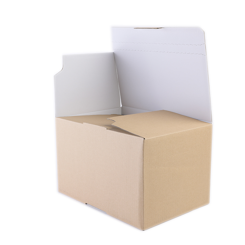 Snap-Lock Carton Box | Durable & Easy Assembly Packaging