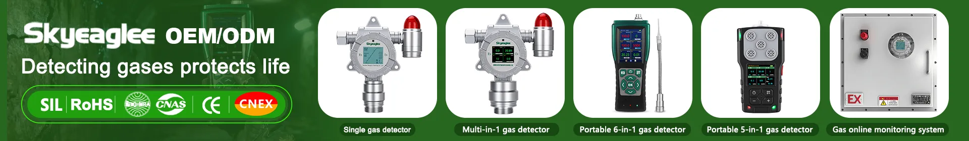 Gas leakage detection in petrochemical workshops: Monitoring solutions ...