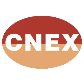 Explosion-Proof CO Gas Analyzer Detector Alert Carbon Monoxide test ...