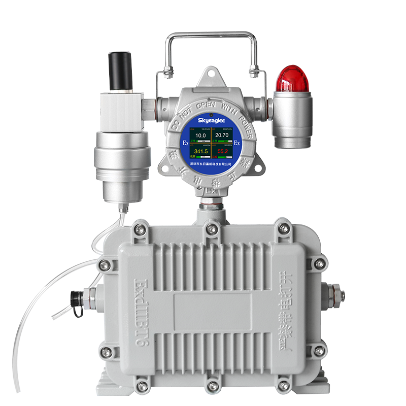 Portable Methane Detector: High - Quality & Reliable Gas Detection Solution