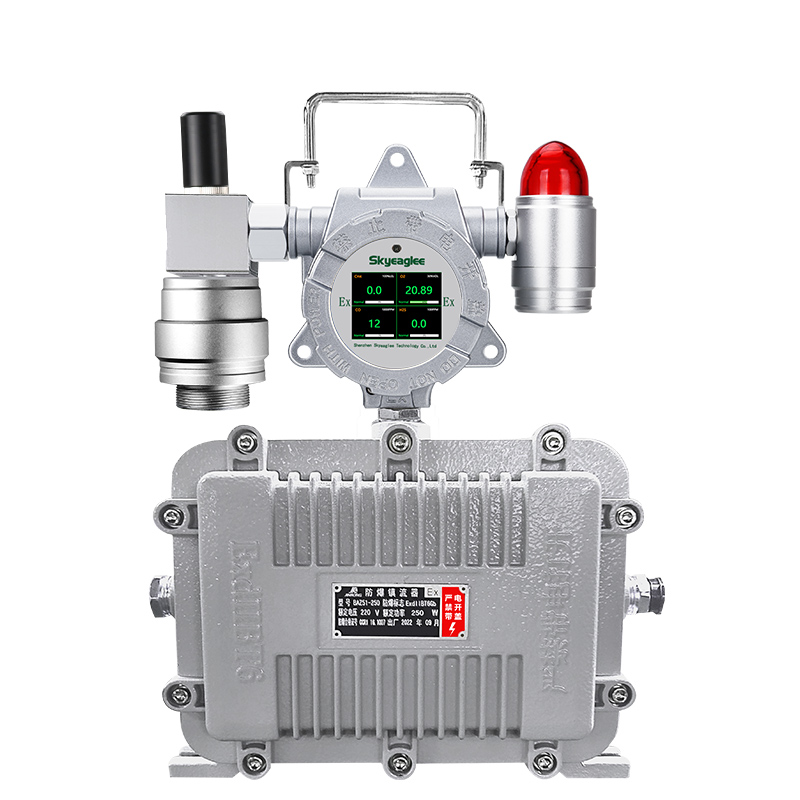 Portable mobile gas detector-Skyeaglee