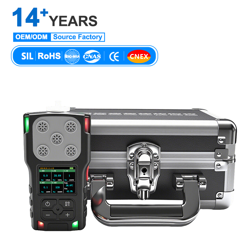 Pump suction portable Ethylene gas detector C2H4 0-100ppm-Skyeaglee